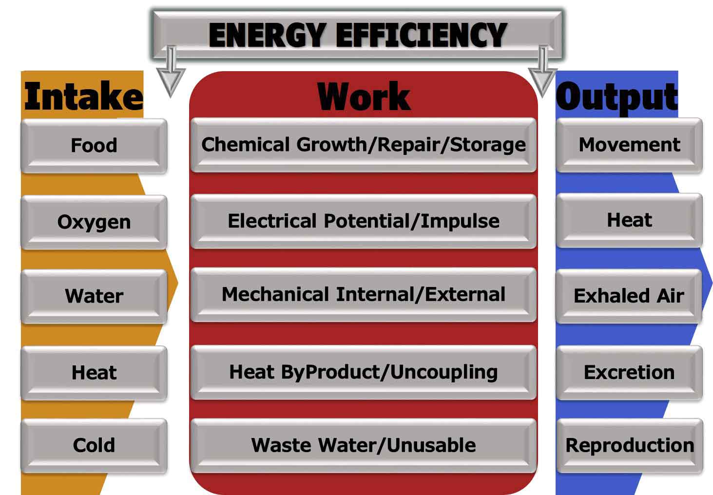 Telehealth Diabetes Reversal And Increase Energy Efficiency | Free ...