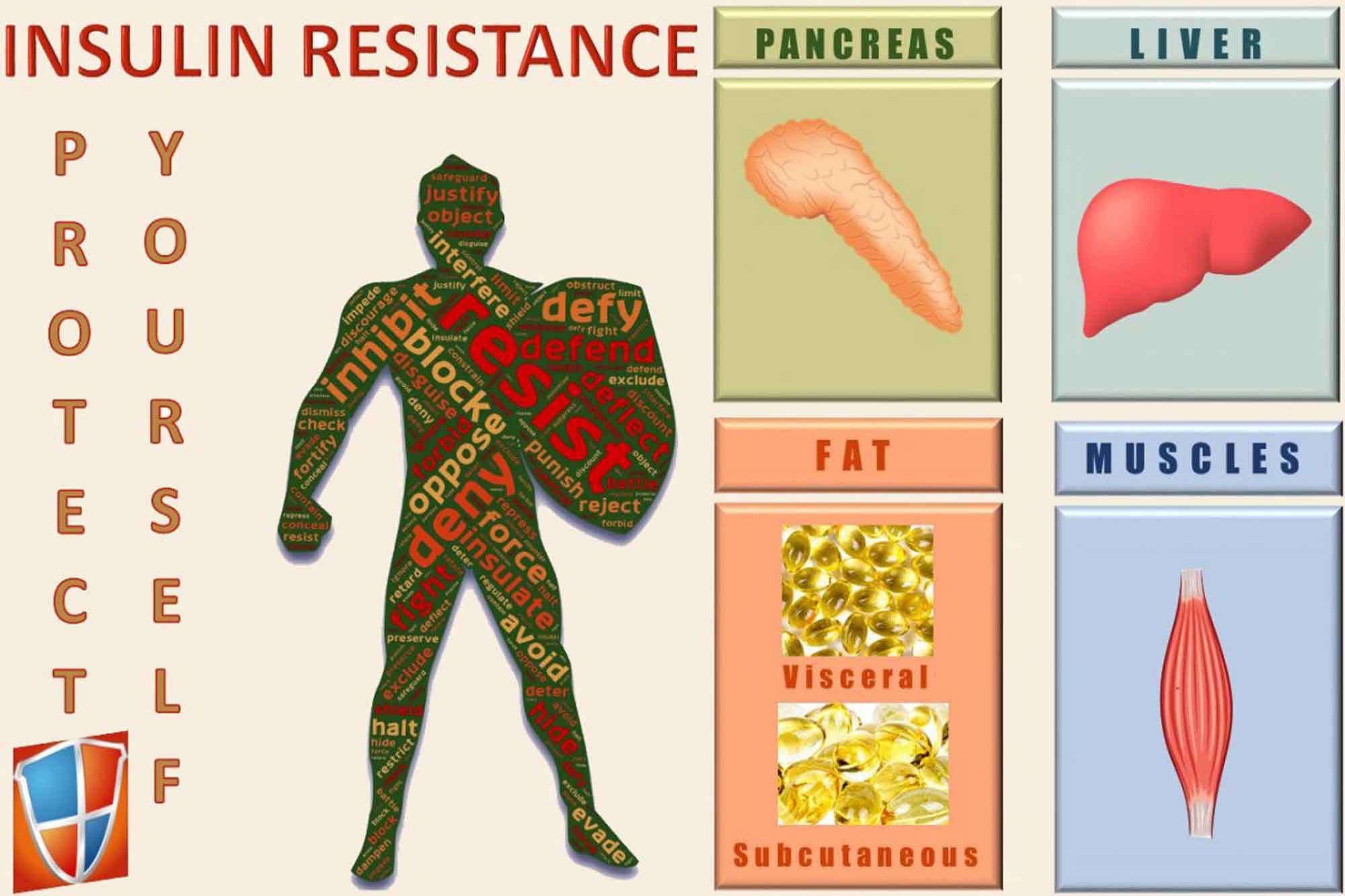 Telehealth Reverse Diabetes and Decrease Insulin Resistance | Free ...